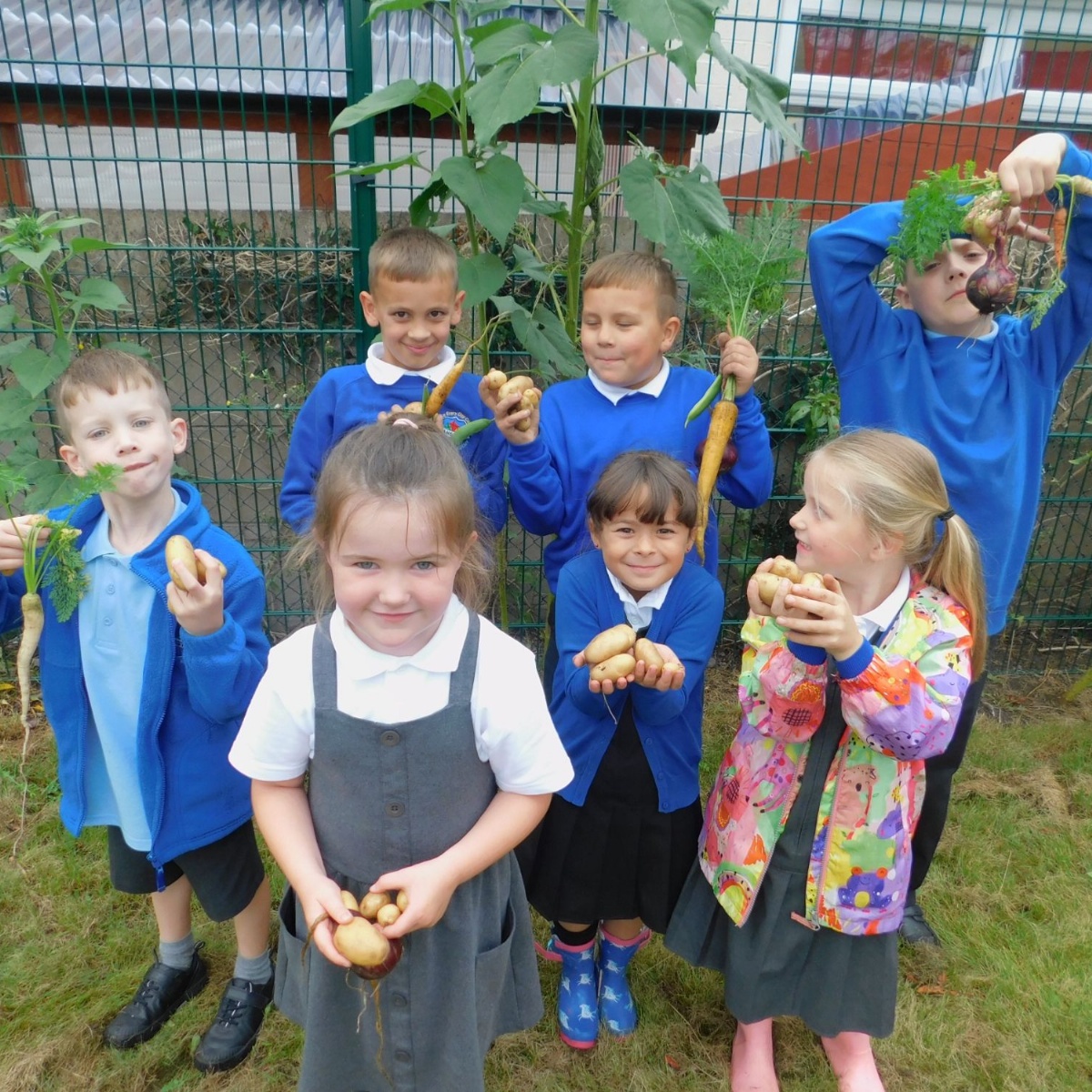 Stanstead Flying High Academy - Return of Eco-Club